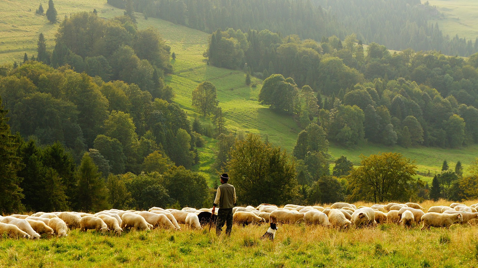 man-agriculture-farm-farmer – Jim W. Smith, photographer